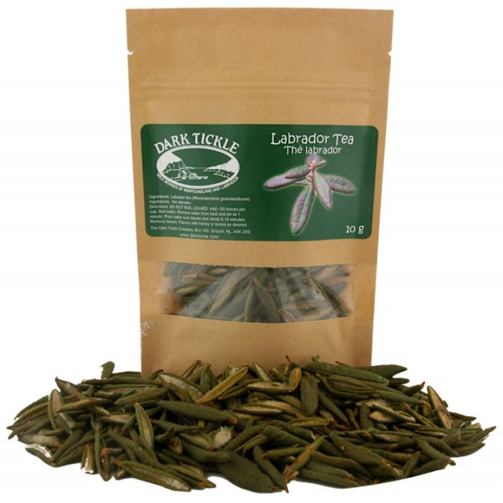 Swamp Tea – The ABC's of Tea